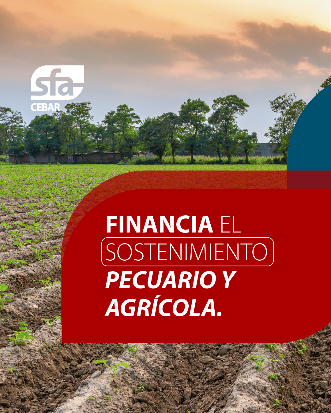 Servicios - SFA Cebar